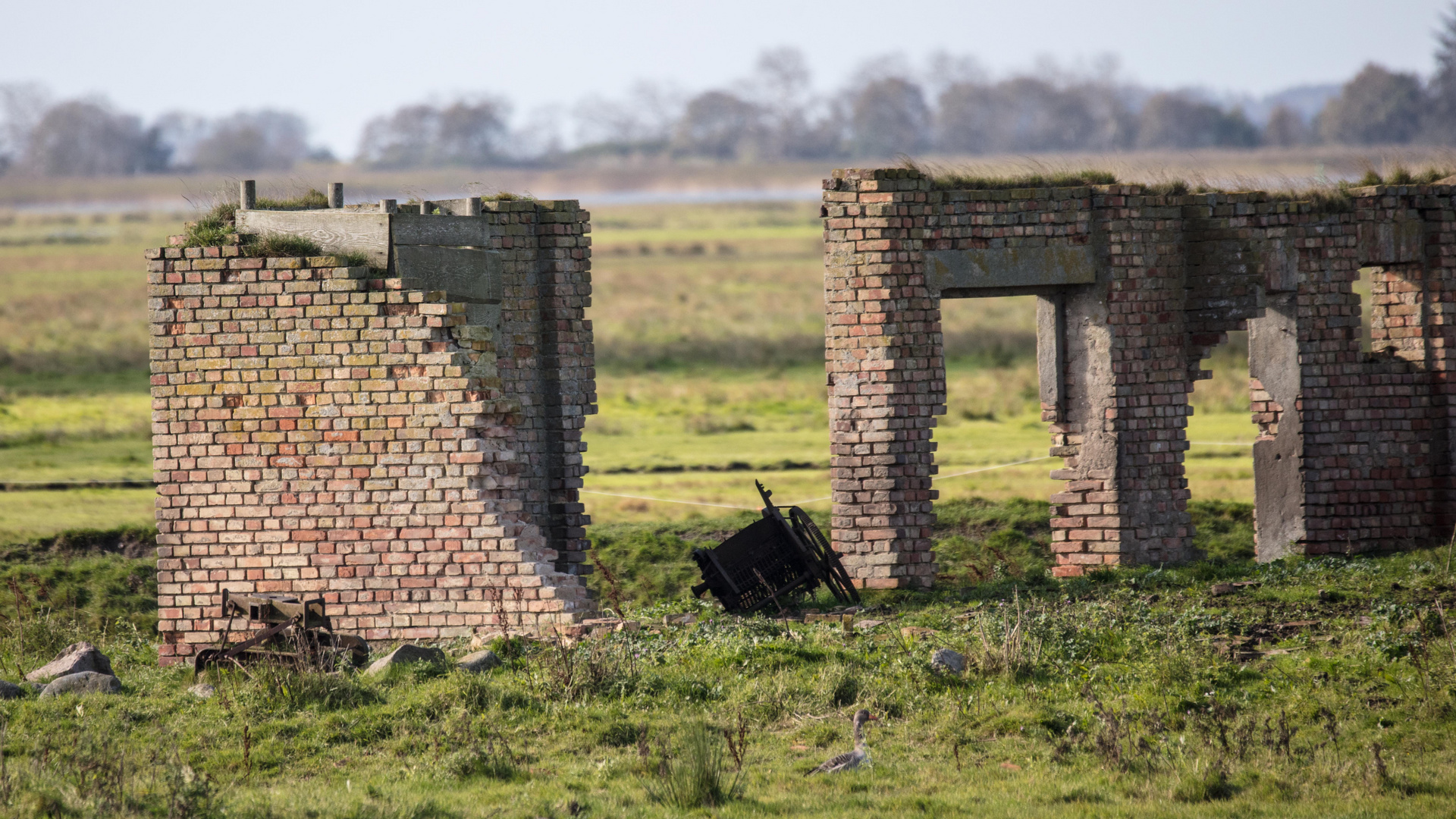 Vogelschutzinsel Kirr Foto & Bild | natur, landschaft, lebensräume ...