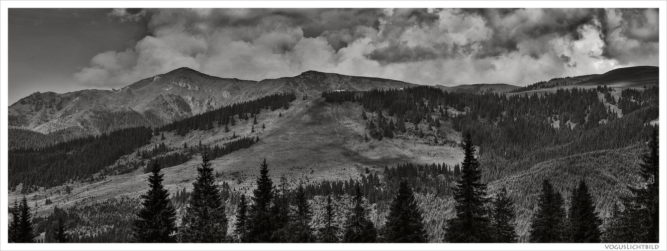 vogus - Unterwegs in der Maramuresch Foto & Bild | world, sommer, bäume ...