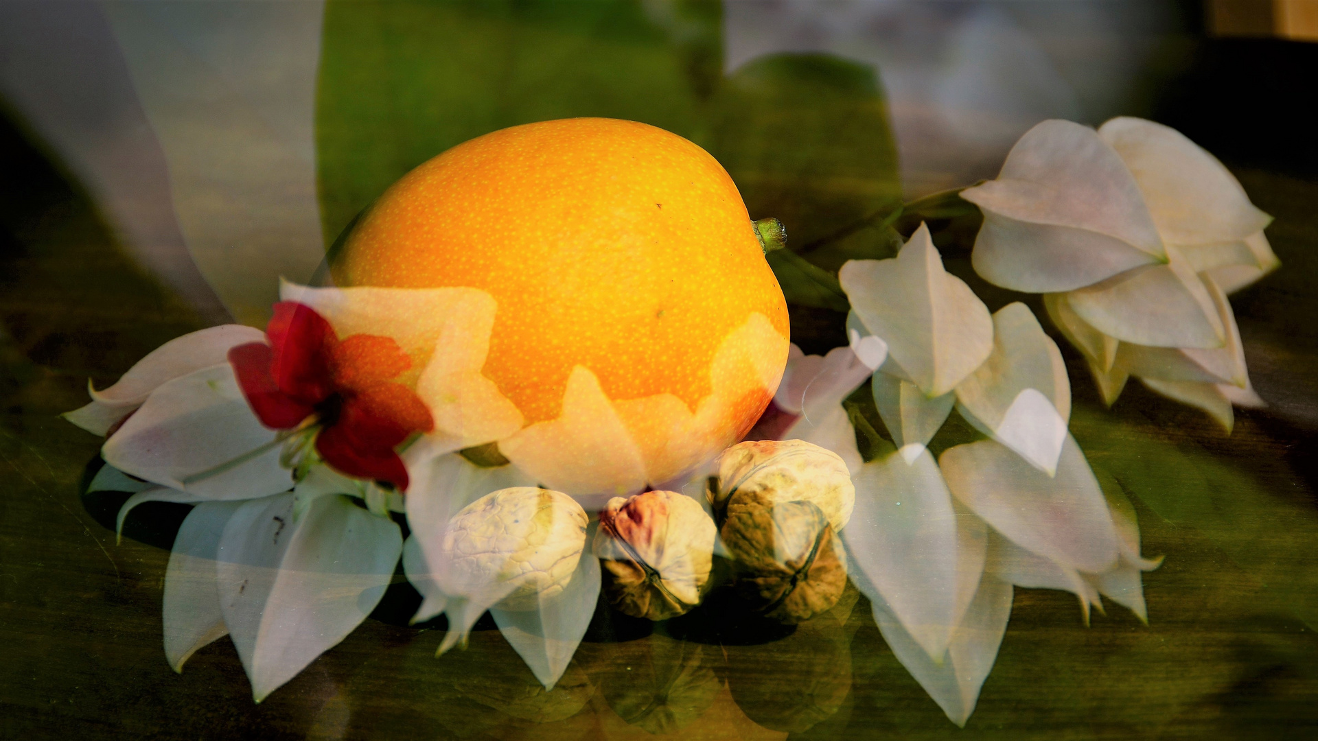 Voici des fruits ,des fleurs...... photo et image | visions artistiques ...