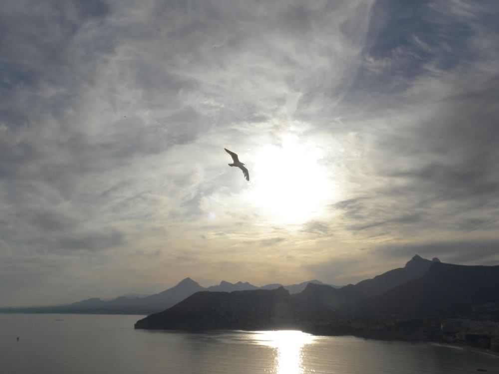 Volar muy alto. Imagen & Foto | técnicas, panoramas , motivos Fotos de ...