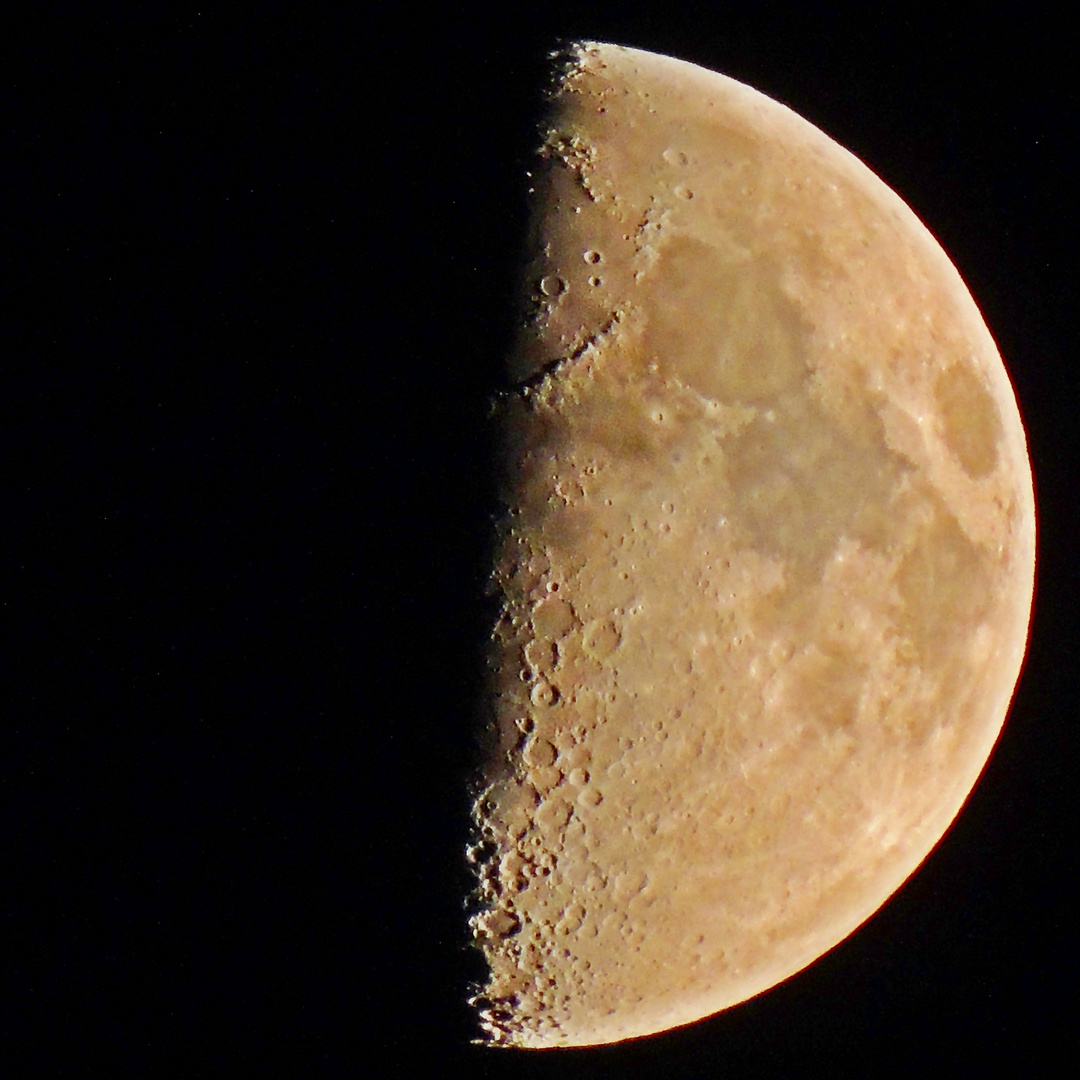 Voll der Halbmond Foto & Bild | mondaufnahmen, himmel & universum ...