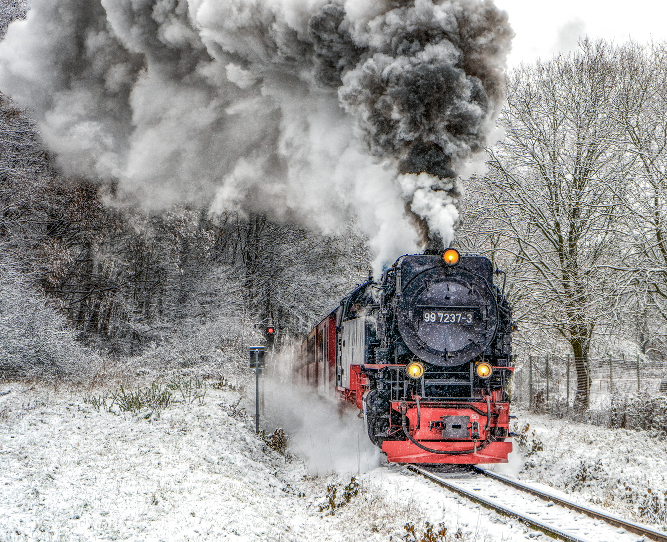 Volldampf in den Winter Foto & Bild | schmalspur, eisenbahn, verkehr ...