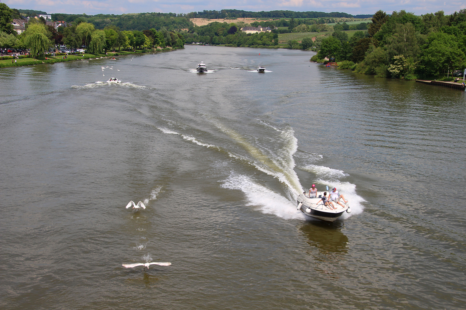 Vollgas Foto & Bild | boote wasser mosel fluß freizeit schwäne, motive ...