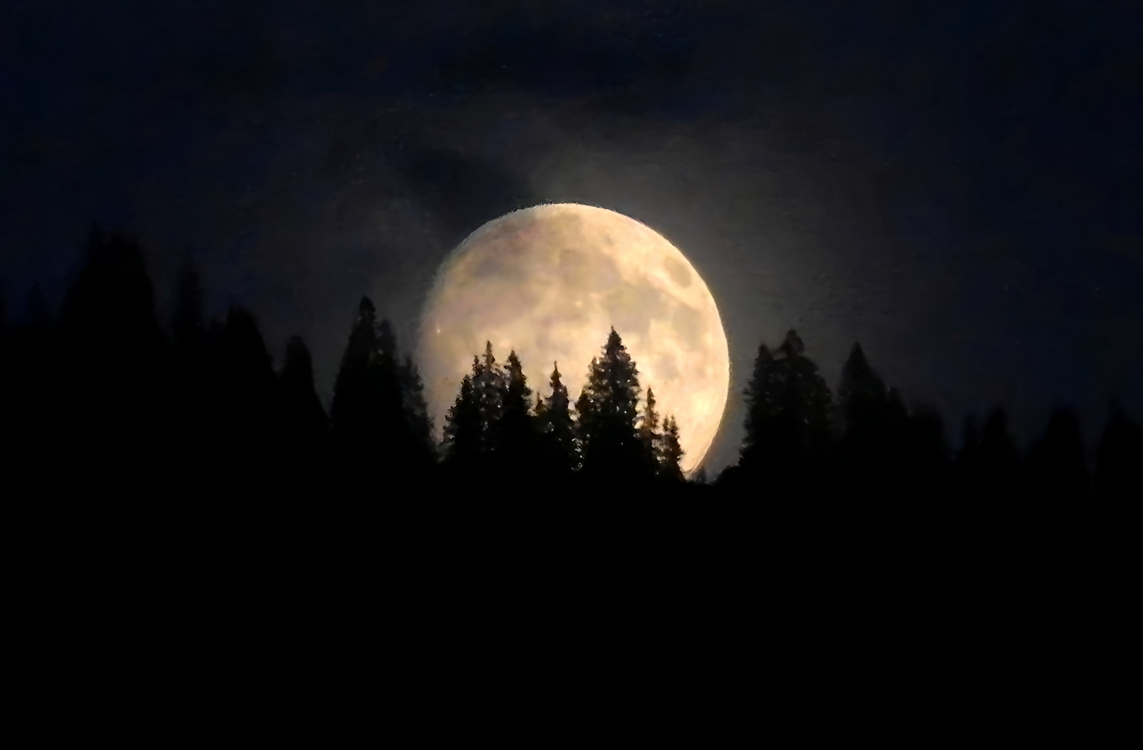 Vollmond Foto & Bild | stillleben, landschaft, wald Bilder auf ...