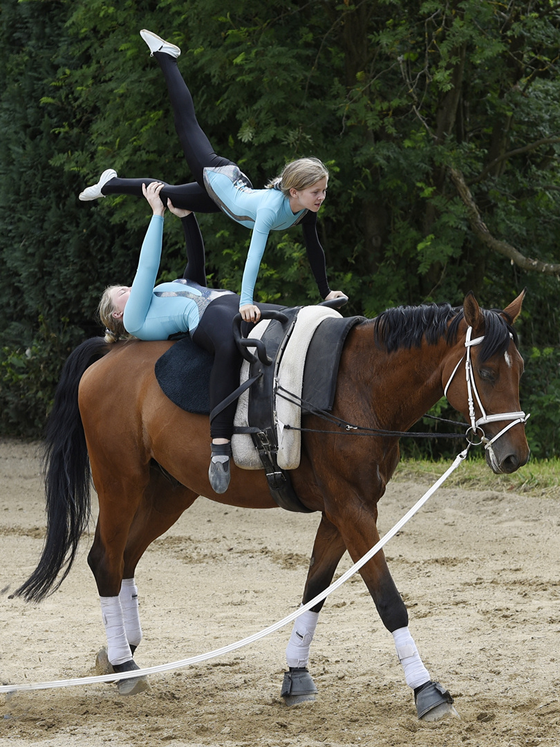 Voltigieren Foto & Bild | outdoor, menschen, jugendliche Bilder auf fotocommunity