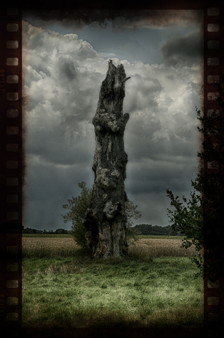 Vom Blitz getroffen HDRI Foto & Bild | bearbeitungs - techniken ...