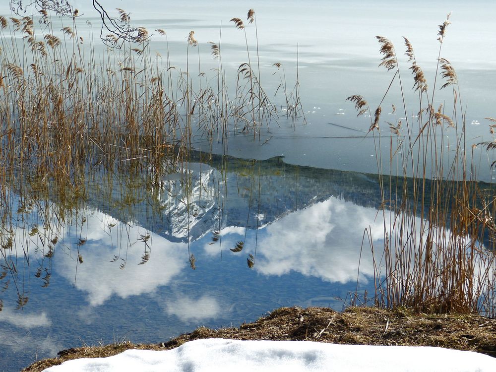 Vom Eise befreit... Foto & Bild | frühling, eis, natur Bilder auf ...