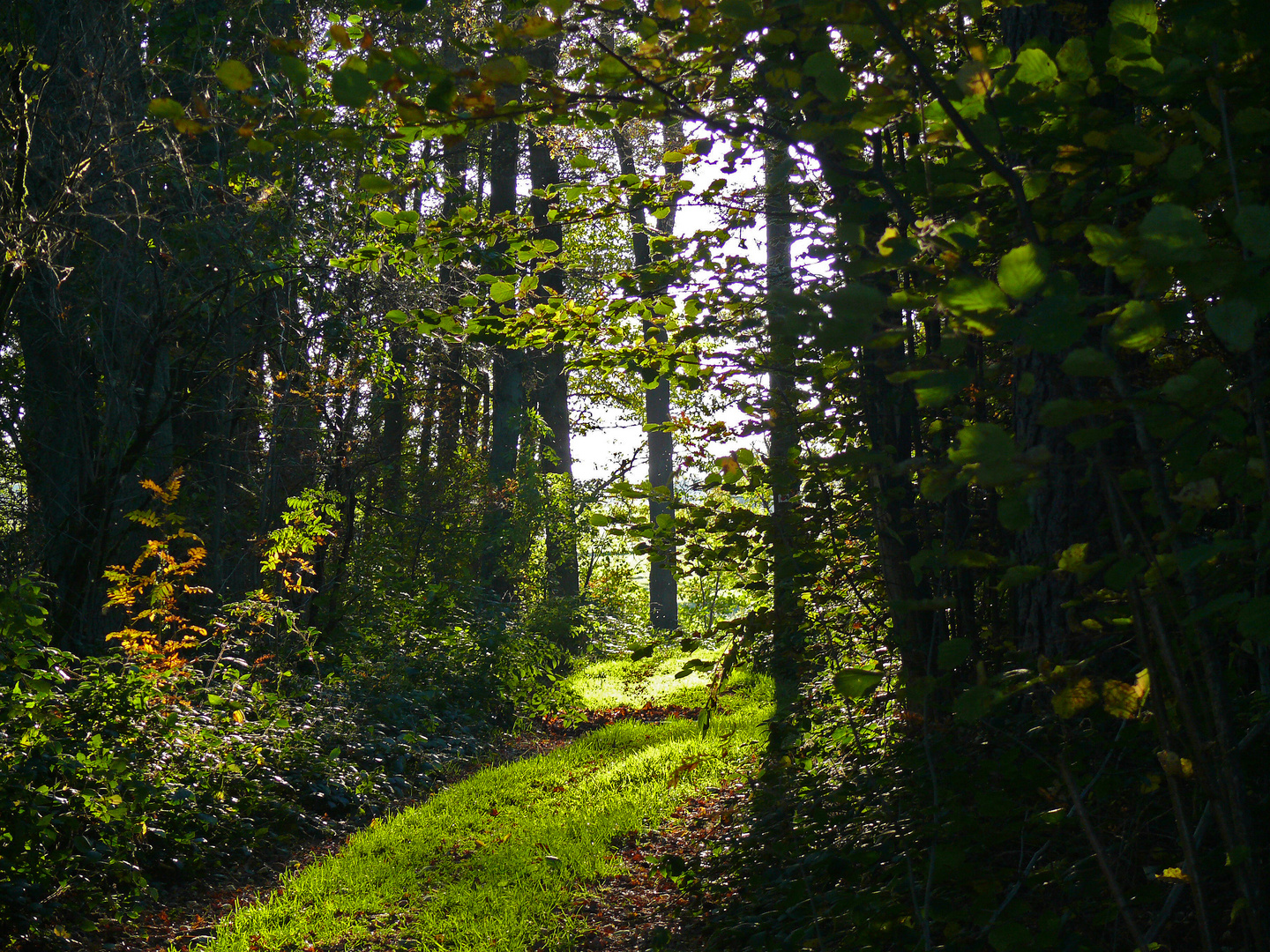 Vom Frankenland ins Märchenland? Foto & Bild | landschaft, wege und ...