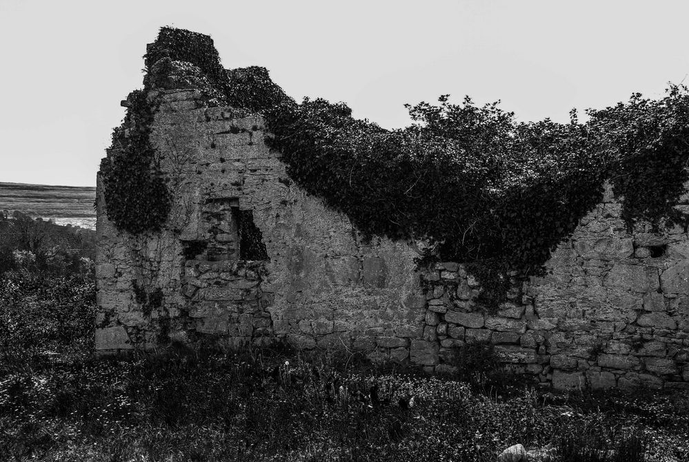 Vom Newtown Castle aus...... Foto & Bild | europe, united kingdom ...