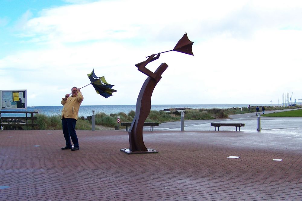 Vom Winde verweht Foto & Bild | deutschland, europe, schleswig ...