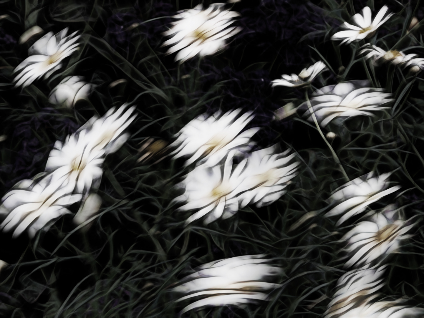 vom winde verweht Foto & Bild | fotokunst, monochrome fine art, natur ...