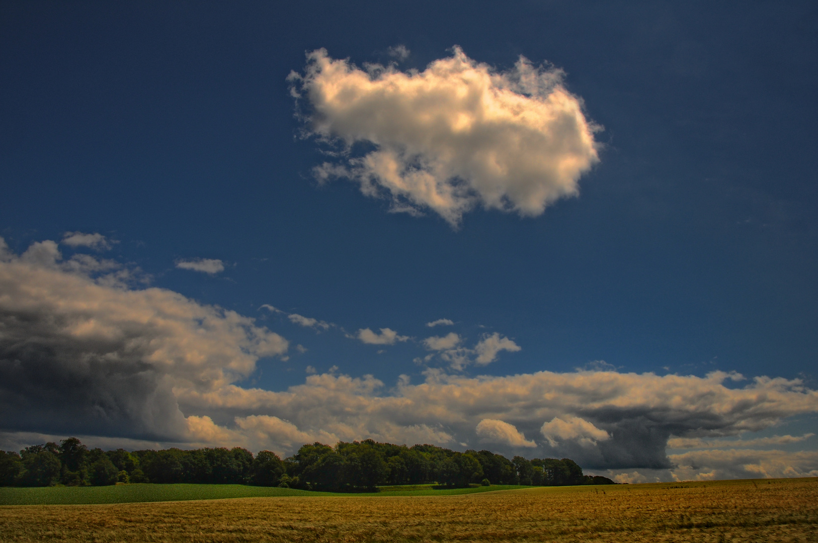 Vom Winde verweht ... Foto & Bild | landschaft, Äcker, felder & wiesen ...
