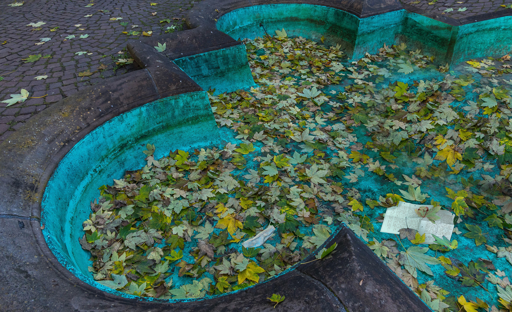 vom Winde verweht Foto & Bild | world, natur, herbst Bilder auf ...