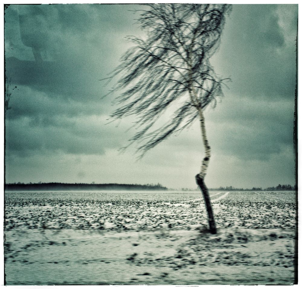 Vom Winde verweht +++ Foto & Bild | outdoor, wolken, winter Bilder auf ...