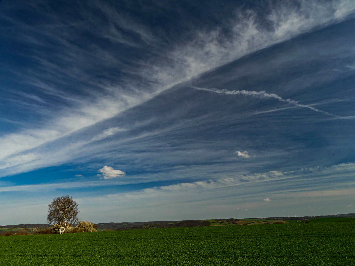 Vom Winde verweht Foto & Bild | bäume, wolken, baum Bilder auf ...