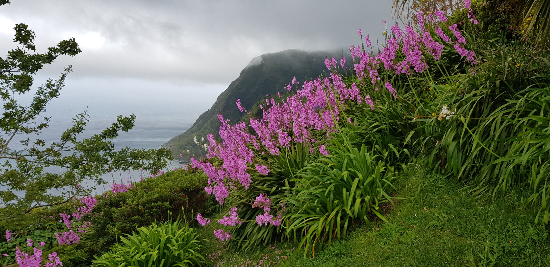 Von den Azoren Foto & Bild | landschaft und blumen, world Bilder auf ...