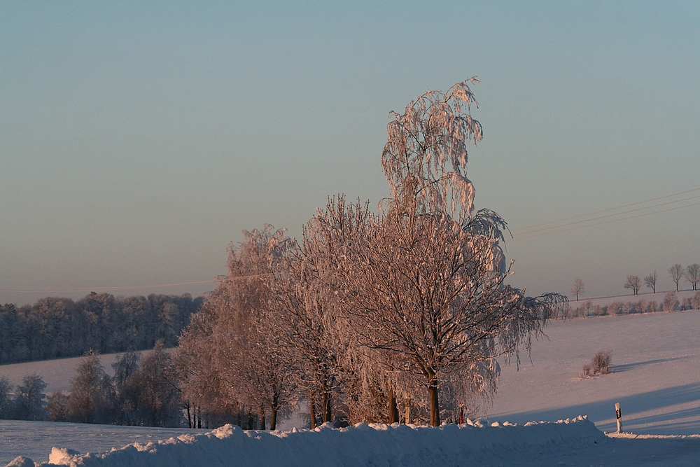 Von der Morgensonne beleuchtet... Foto & Bild | jahreszeiten, winter, natur Bilder auf fotocommunity