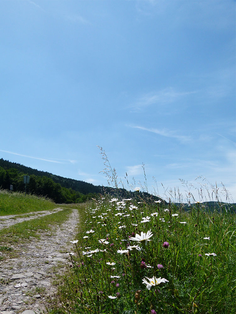 Von Einruhr nach Rurberg.................. Foto & Bild | archiv ...