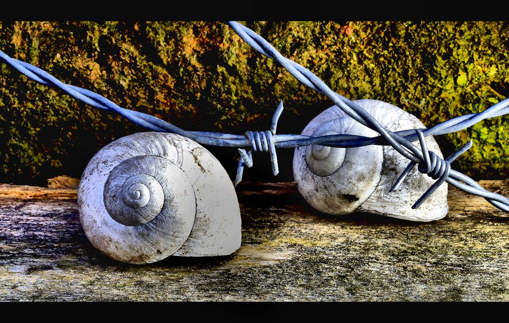 von kleinen häusern... Foto & Bild | stillleben, arrangierte szenen ...