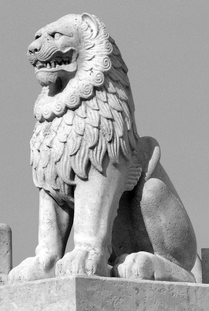 Von Löwen bewacht Foto & Bild | world, spezial, europe Bilder auf ...