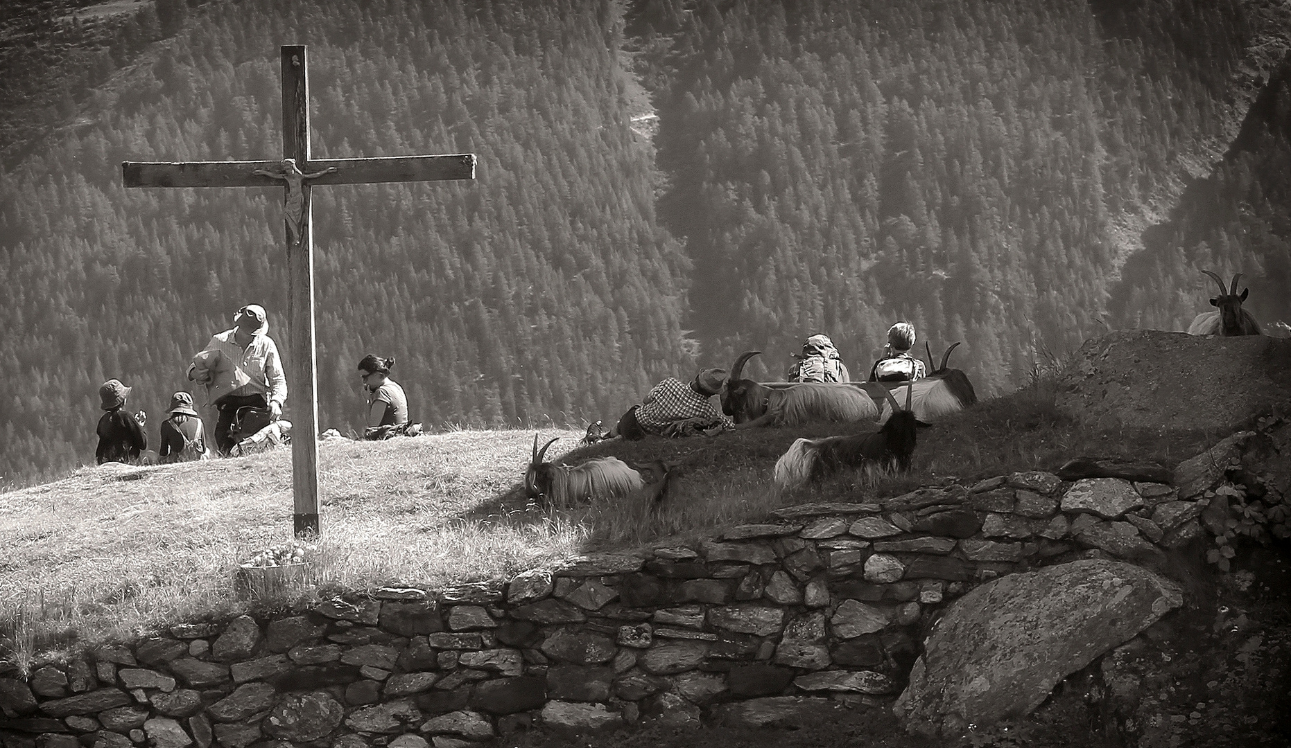 Von Menschen und Ziegen.. Foto & Bild | tiere, jahreszeiten, sommer ...