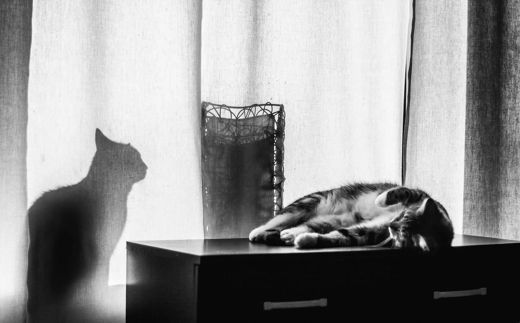 ..von Zweisamkeiten ... Foto & Bild | emotionen, glück, spezial Bilder auf fotocommunity