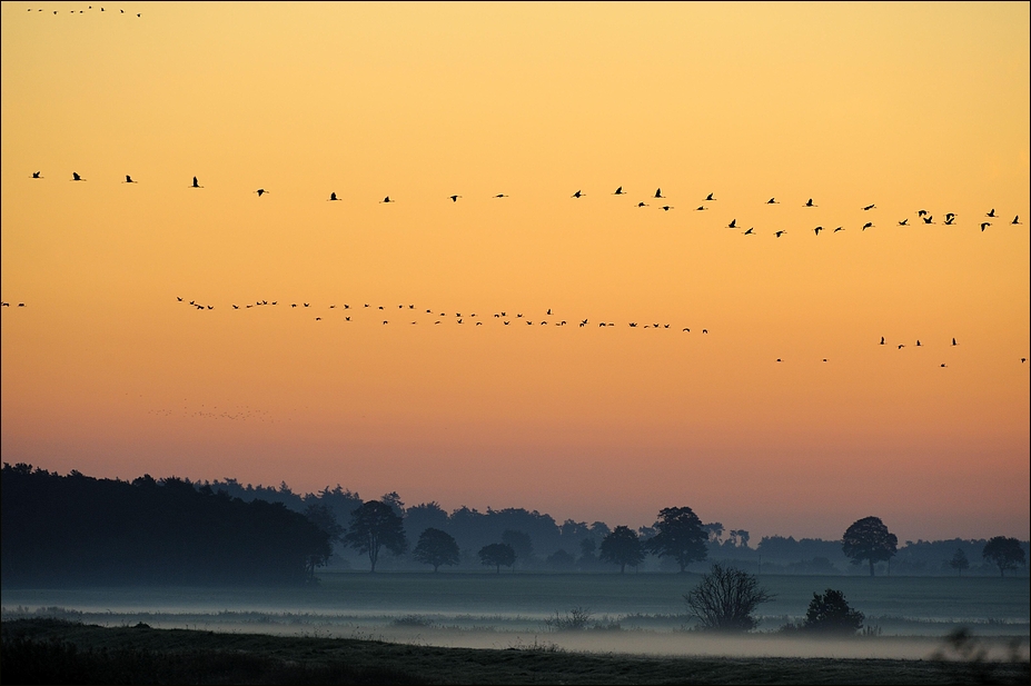 Vor Sonnenaufgang Foto & Bild | deutschland, europe, mecklenburg- vorpommern Bilder auf ...