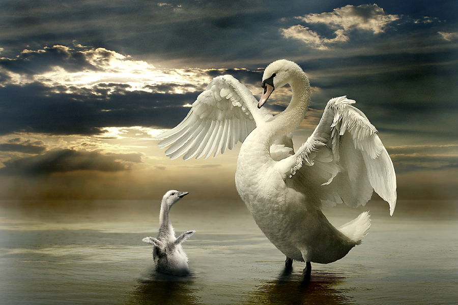 Vorbild Foto & Bild | fotomontage, fantasy mystery, digiart Bilder auf ...