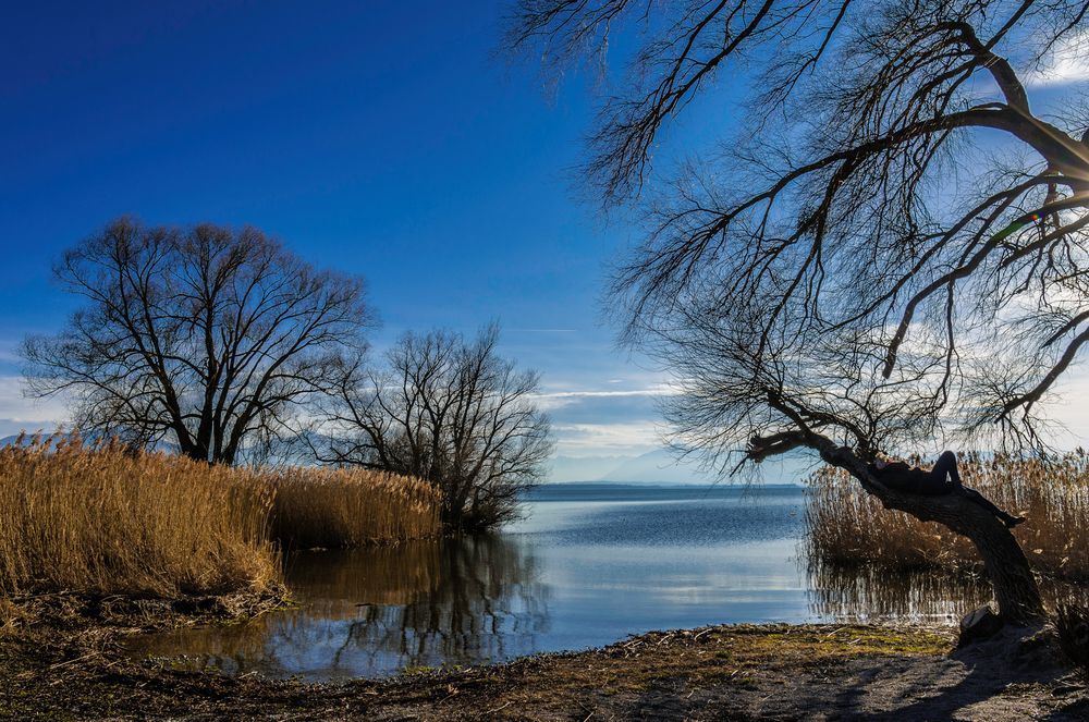 Vorfrühling am Chiemsee Foto & Bild | landschaft, bach, fluss & see, see, teich & tümpel Bilder ...