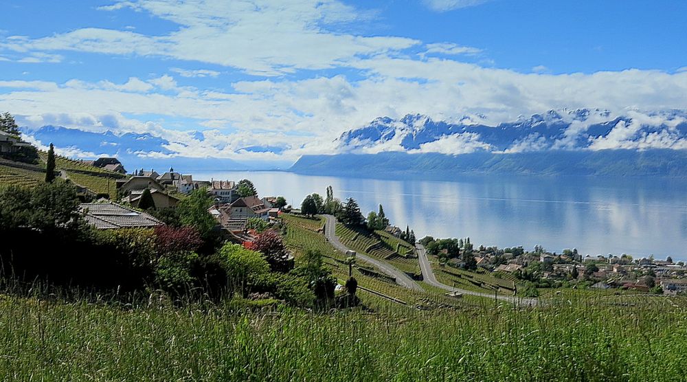 VUE SUR LE LAC LEMAN photo et image | paysages, lacs, rivières ...