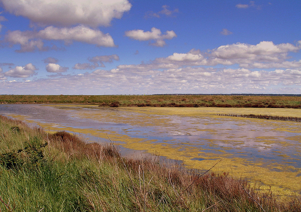 vue sur le marais photo et image | paysages, nature Images fotocommunity