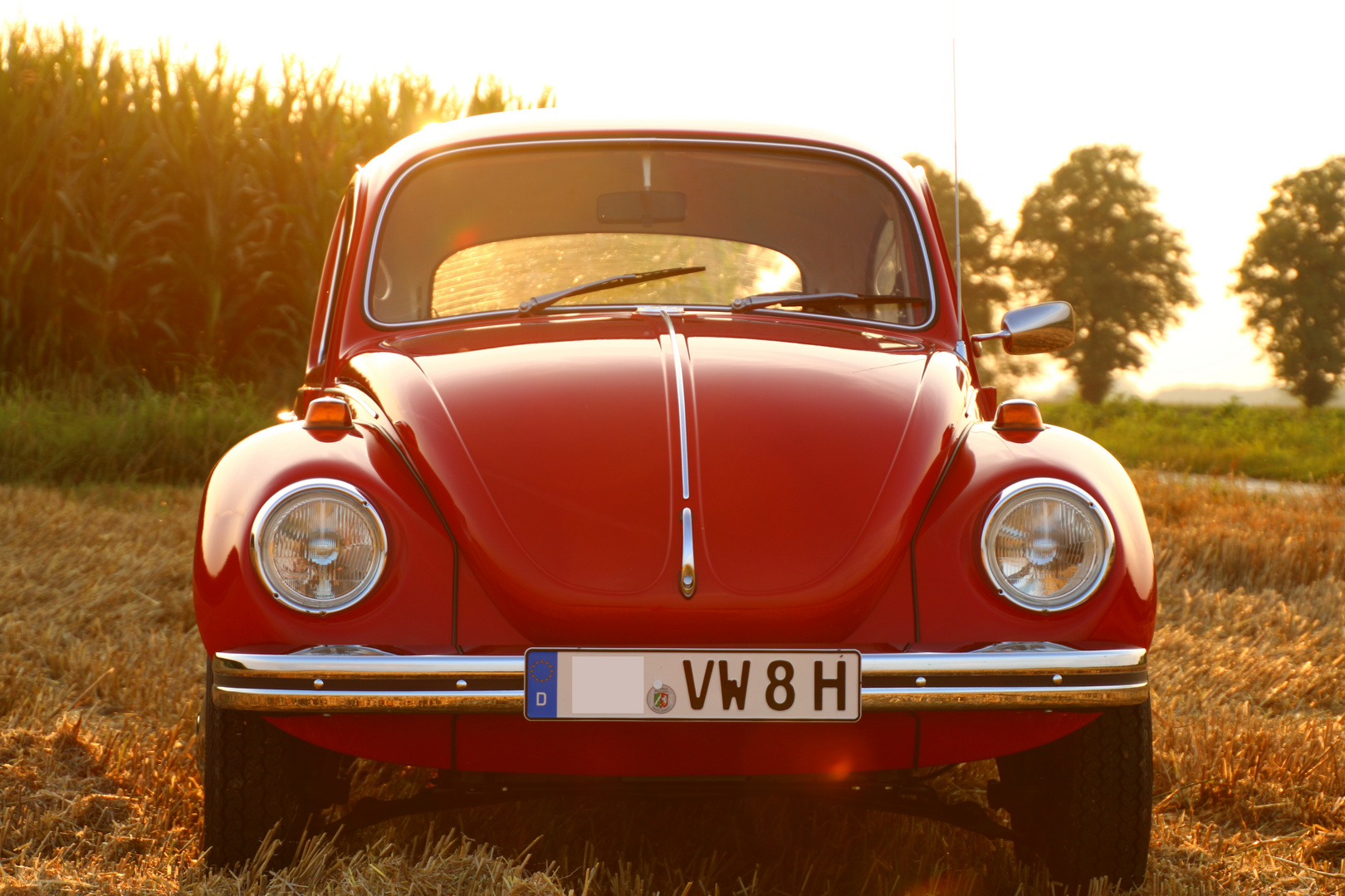 VW Käfer Frontansicht Foto & Bild | autos & zweiräder, oldtimer ...