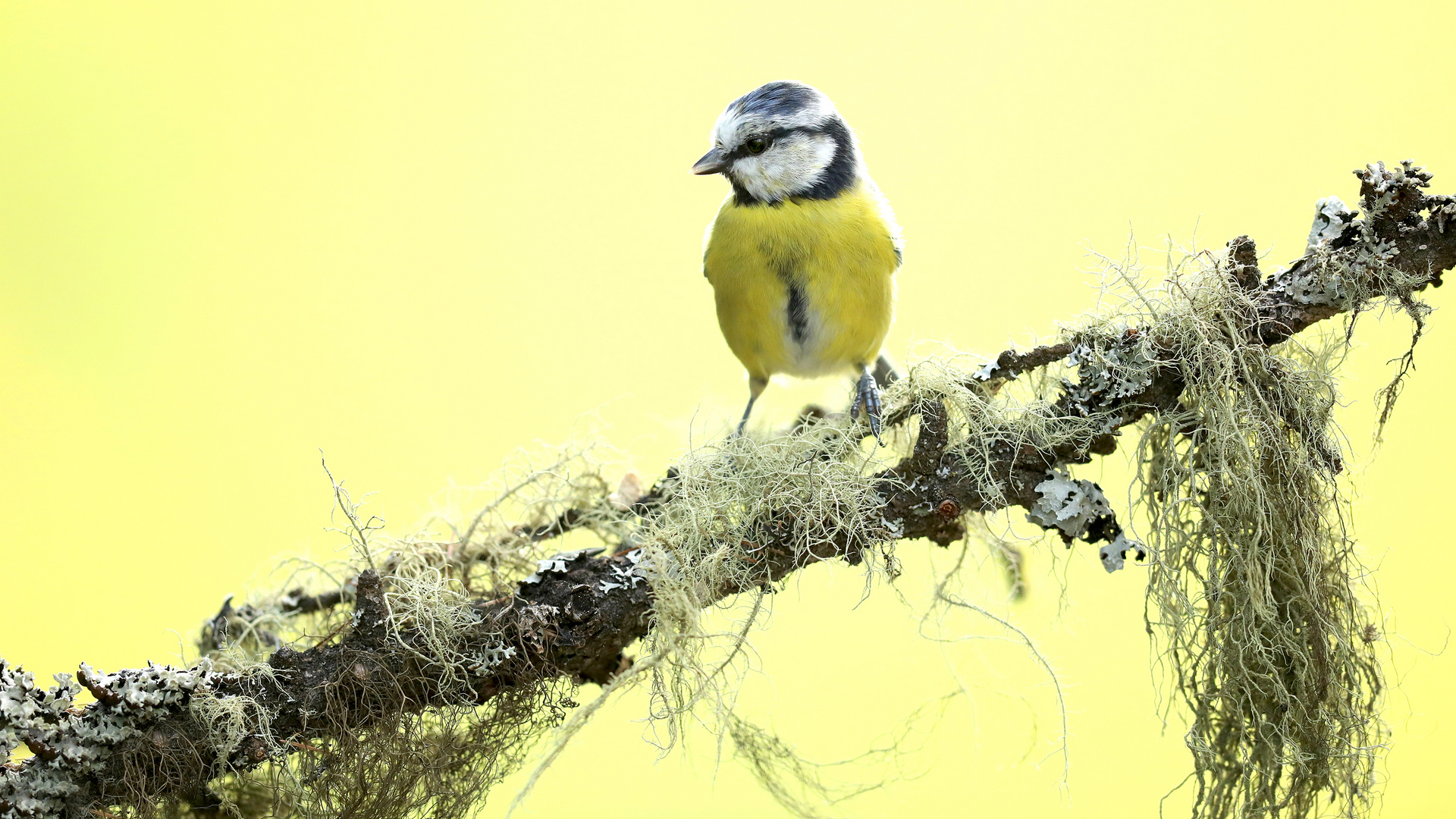 W E L C O M E Foto Bild Nature Natur Tiere Bilder Auf W E L C O M E Foto Bild Nature Natur Tiere Bilder Auf