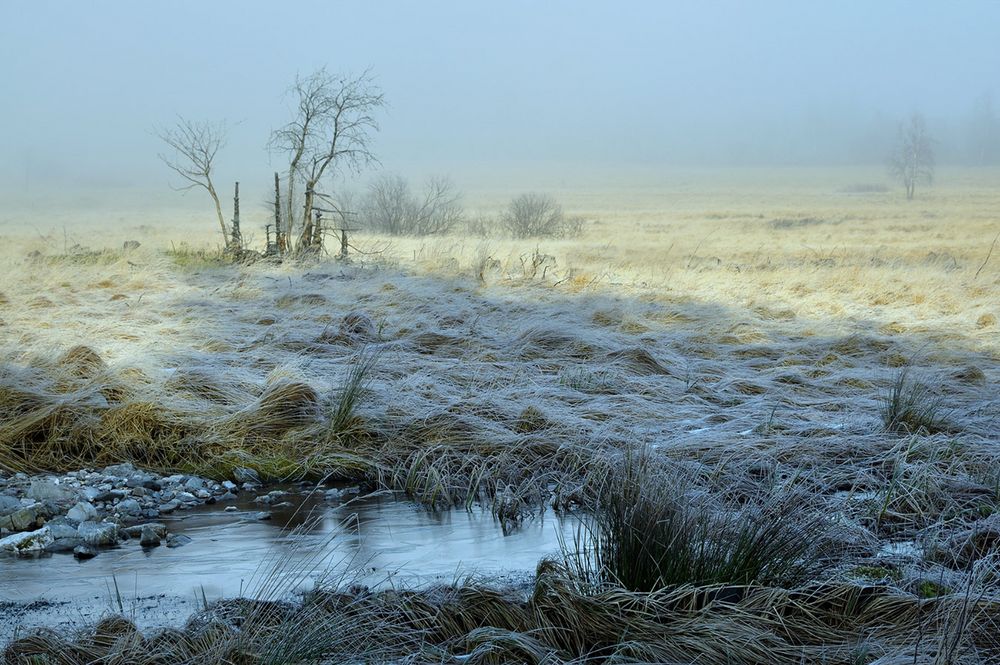 w i n t e r l i c h t Foto & Bild | jahreszeiten, winter, licht Bilder auf fotocommunity