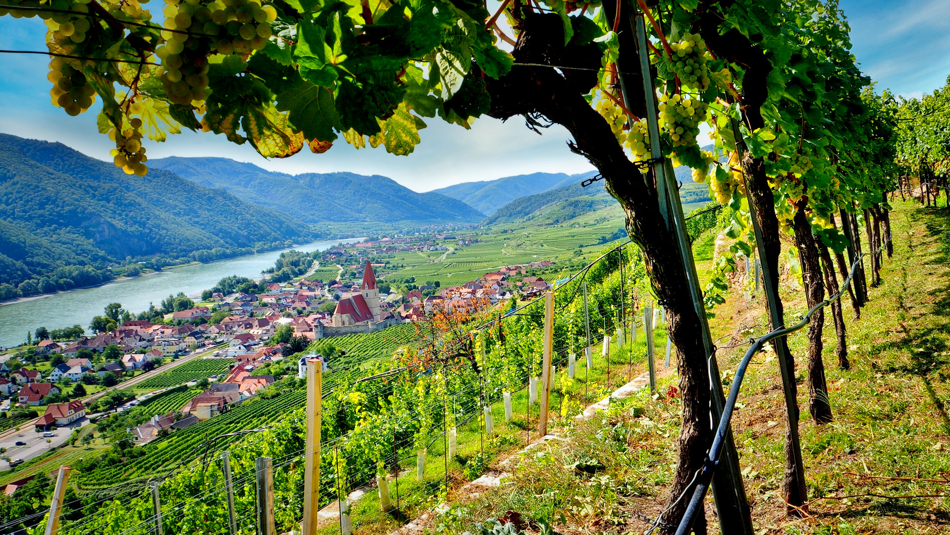 Wachau Foto & Bild | urlaub, outdoor, wasser Bilder auf fotocommunity