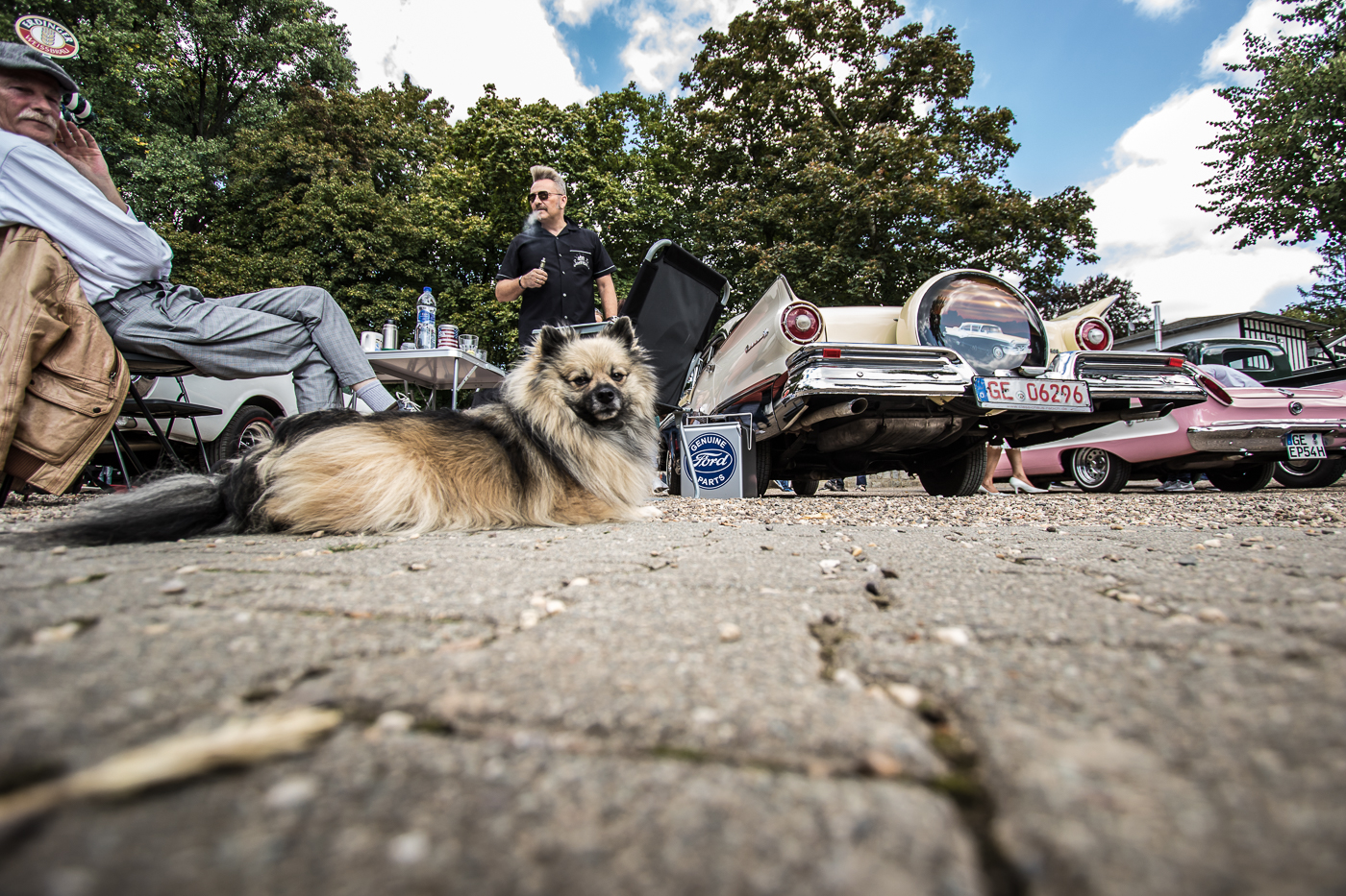 Wachhund Foto & Bild | erwachsene menschen, tiere, haustiere Bilder auf fotocommunity