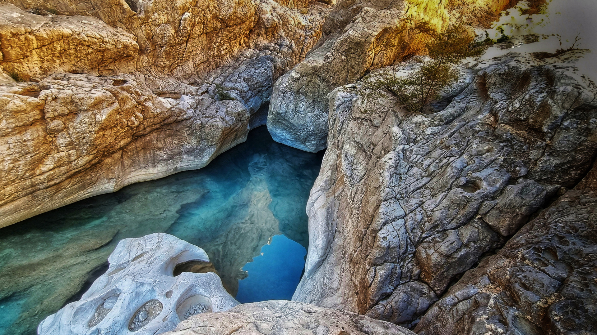 Wadi Bani Khalid Foto & Bild | world, asia, freiheit Bilder auf fotocommunity