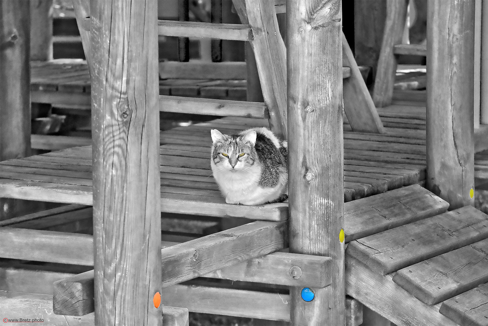 Wächterin Foto & Bild | colorkey, bearbeitungs - techniken, digiart Bilder auf fotocommunity