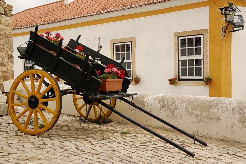 Wagerl Foto & Bild | stillleben, zufällige arrangements, portugal 2008 ...