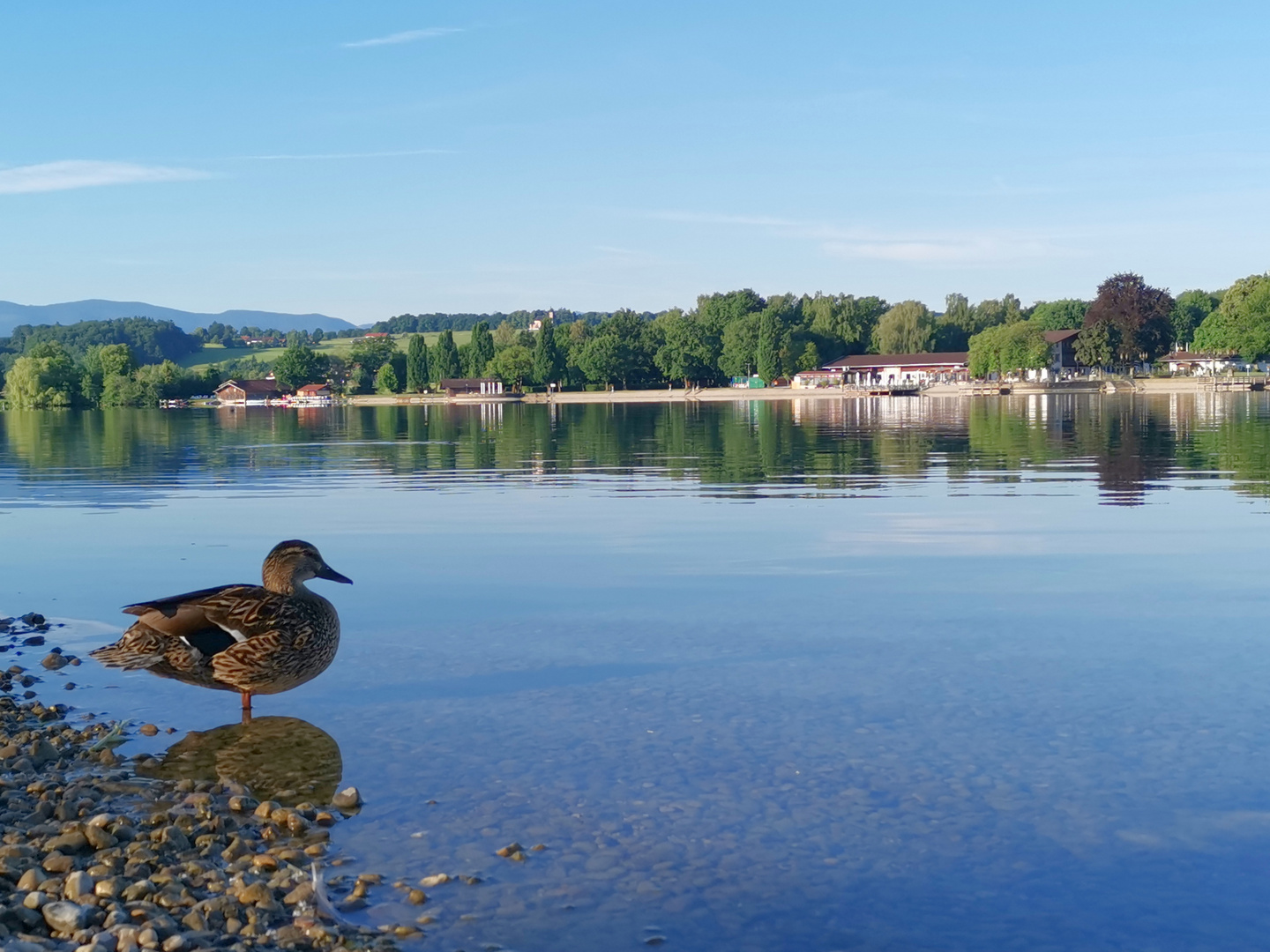 Waginger See Foto & Bild | landschaft, urlaub, sommer Bilder auf fotocommunity