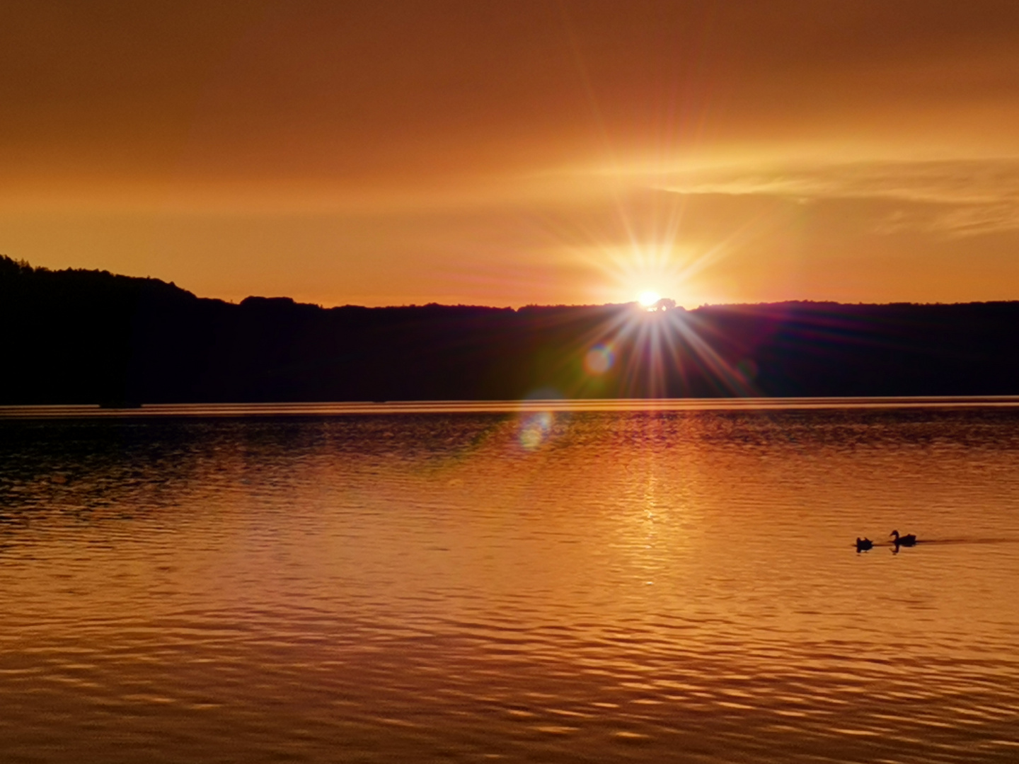 Waginger See Foto & Bild | landschaft, urlaub, sommer Bilder auf ...