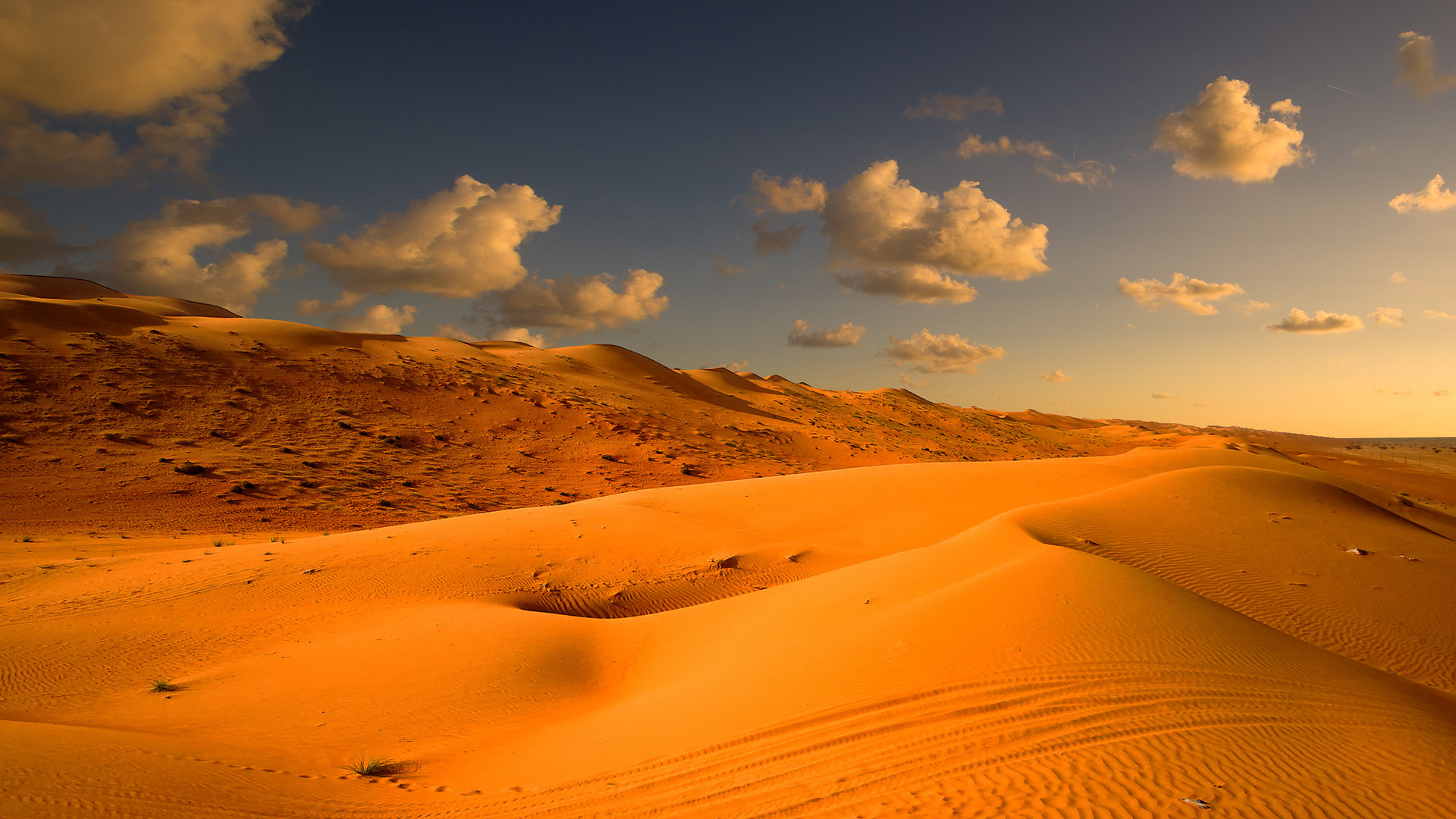 Wahiba Sands Foto & Bild | landschaft, wüste, oman Bilder auf fotocommunity