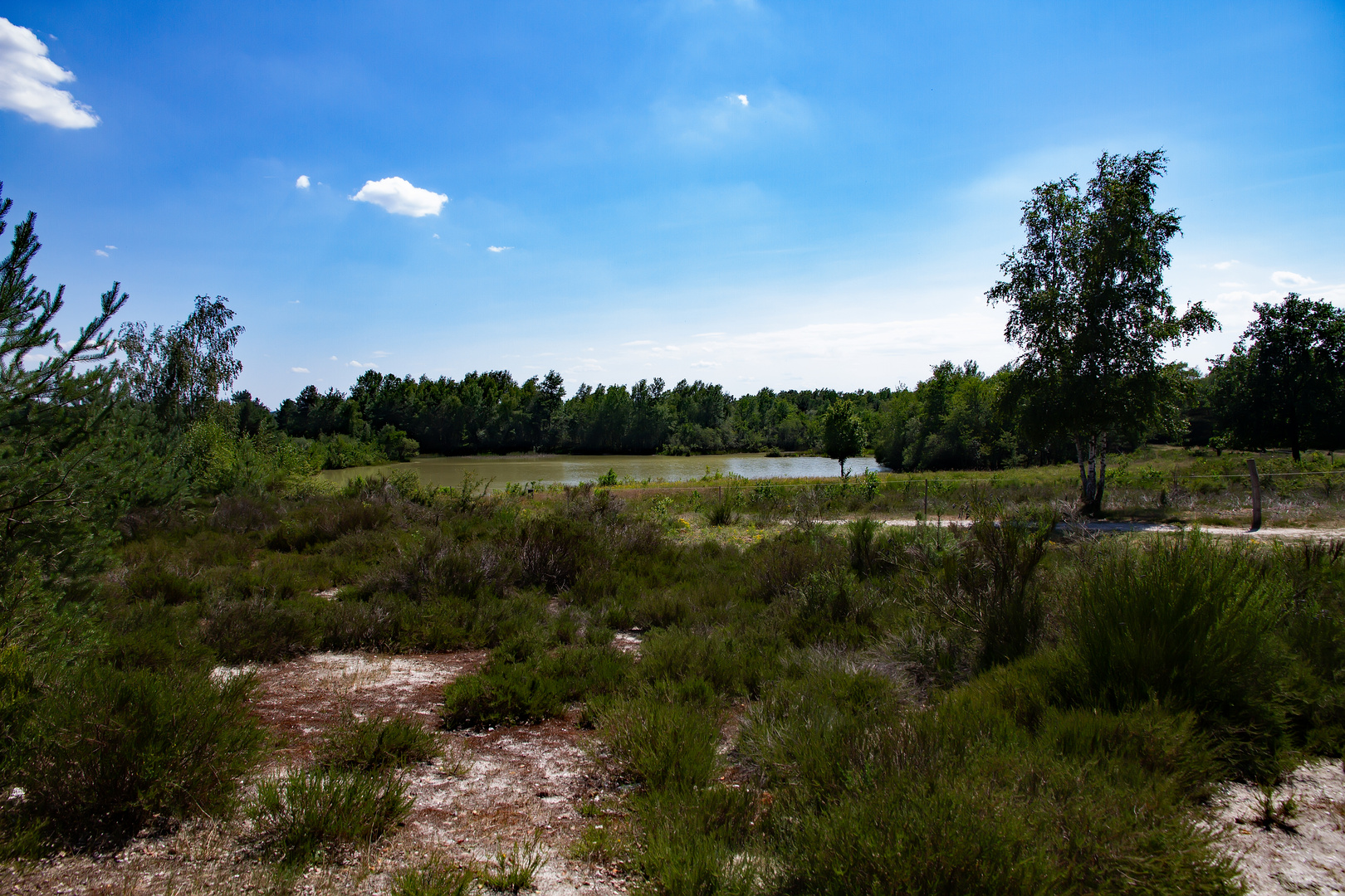 Wahner Heide II Foto & Bild | landschaft, heide, natur Bilder auf ...