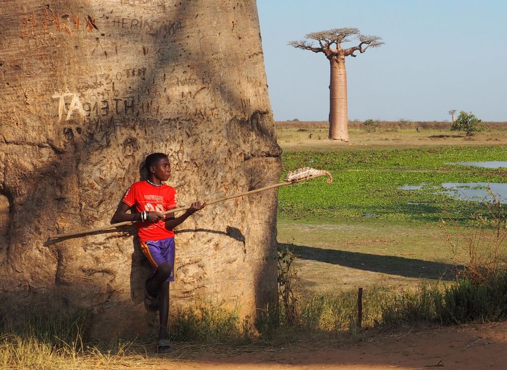 Waiting for the next Vazaha... Foto & Bild | africa, madagascar ...
