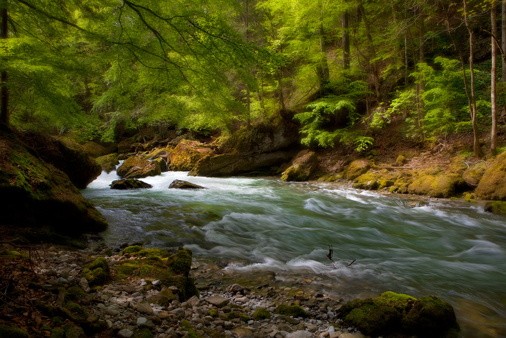 Wald mit Fluss Foto & Bild | landschaft, wald, schweiz Bilder auf ...