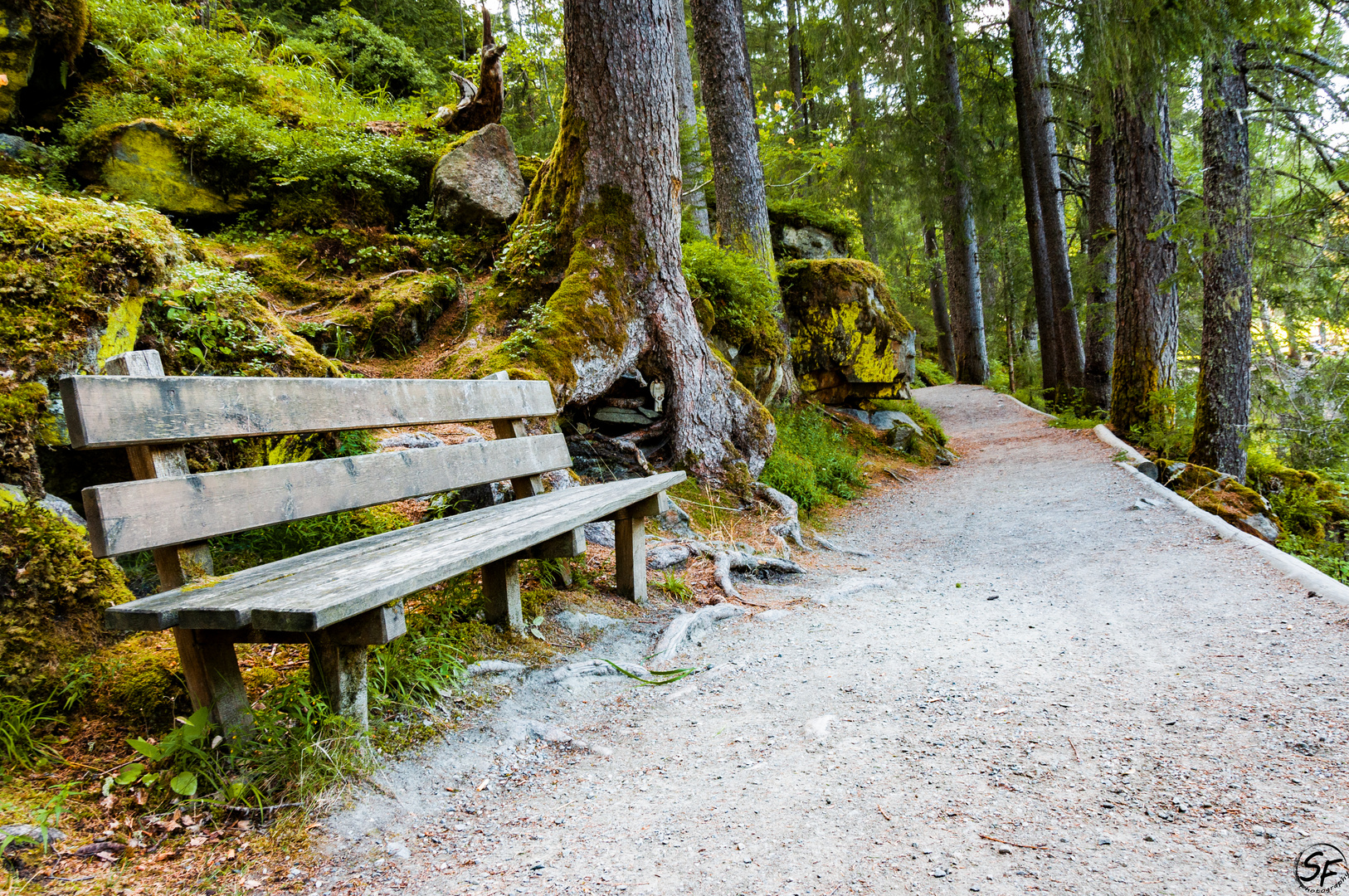 Waldbank Foto & Bild | landschaft, wald, bänke in der landschaft Bilder ...