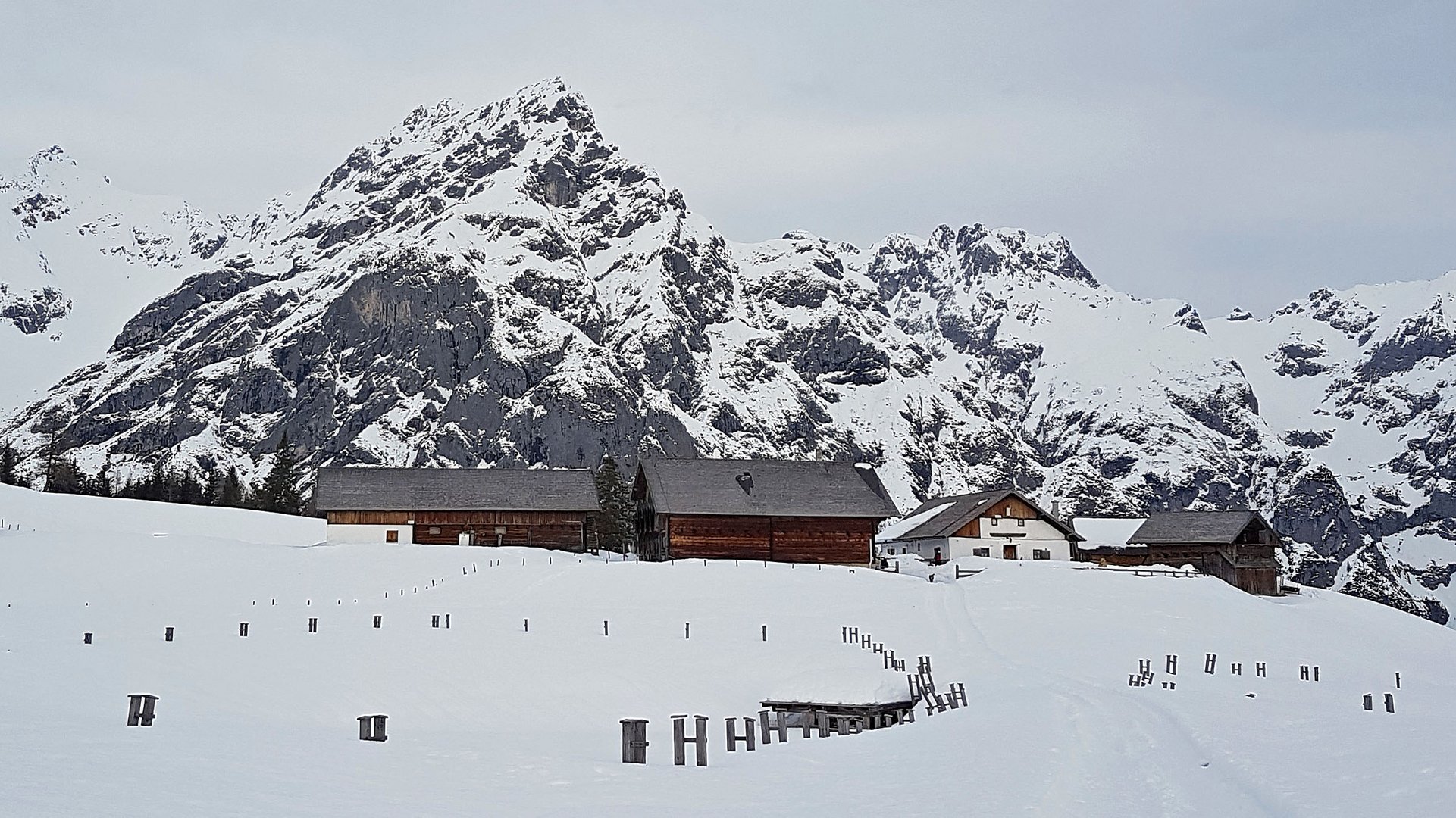 Walder Alm Foto & Bild | landschaft, jahreszeiten, winter Bilder auf ...