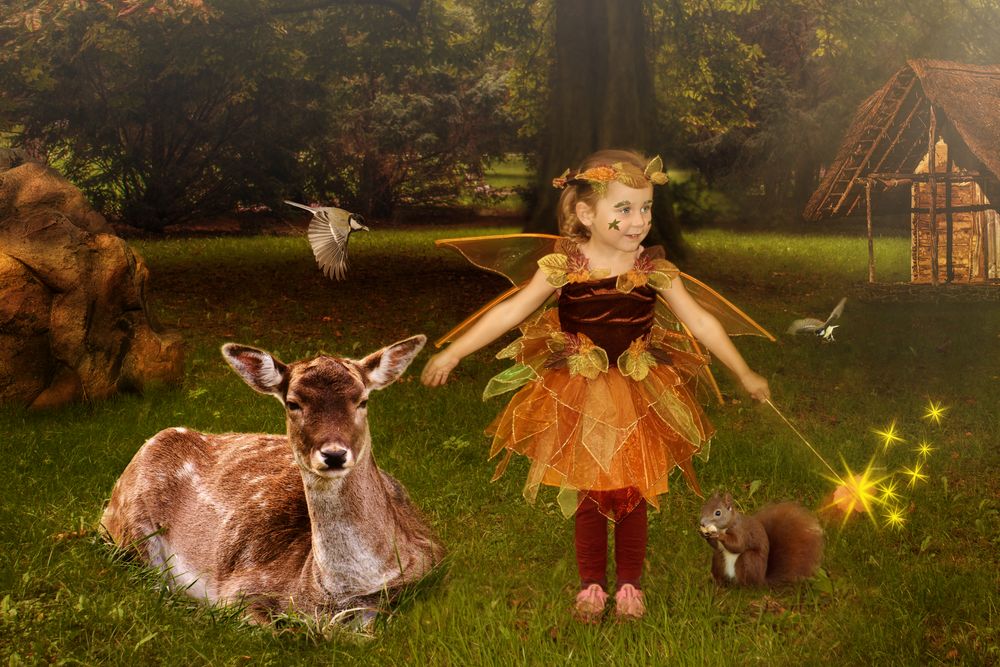Waldfee Foto & Bild | fotomontage, composing , coomposing Bilder auf fotocommunity