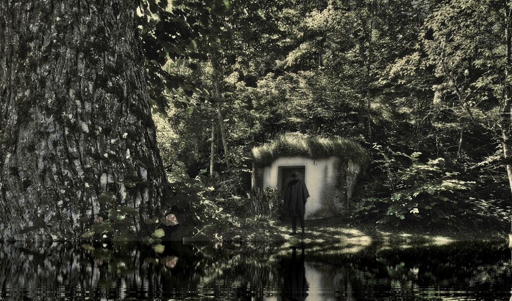 Waldgeist Foto & Bild | emotionen, einsamkeit, spezial Bilder auf ...