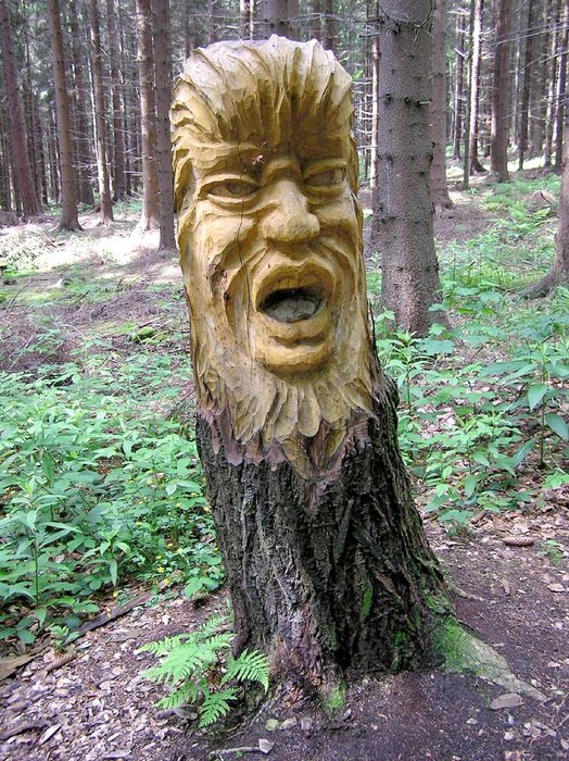 Waldgeist Foto & Bild | deutschland, europe, sachsen Bilder auf ...